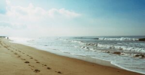 About Palacios, TX: History, Activities, and More | Beachside